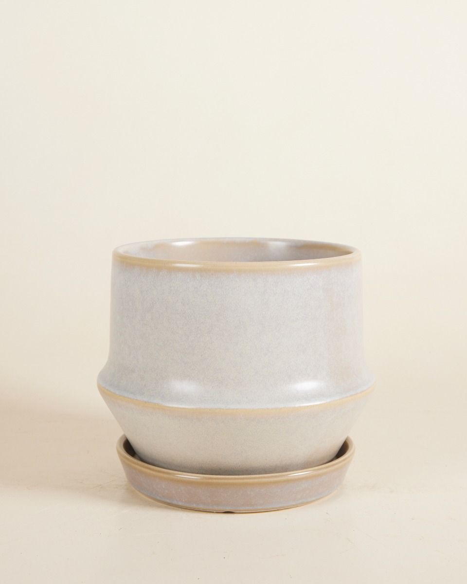 Shop Jent Pot Cotton | PLNTS.com online | PLNTS.com