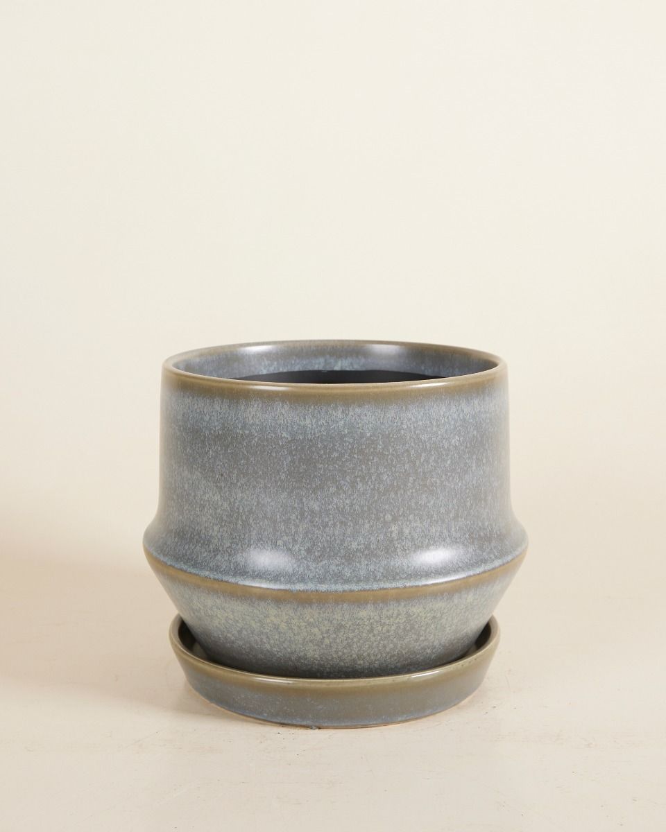 Shop Jent Pot Sky | PLNTS.com online | PLNTS.com