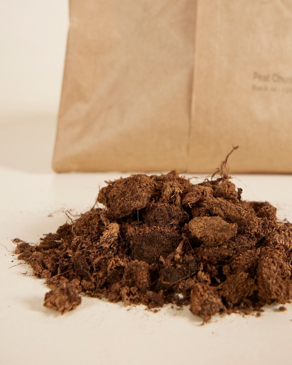 Shop Peat Chunks online | PLNTS.com
