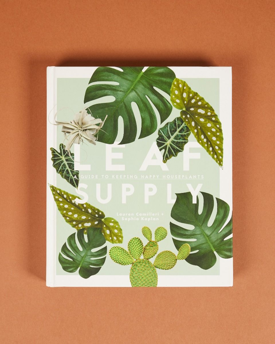 Shop Leaf Supply (EN) online | PLNTS.com