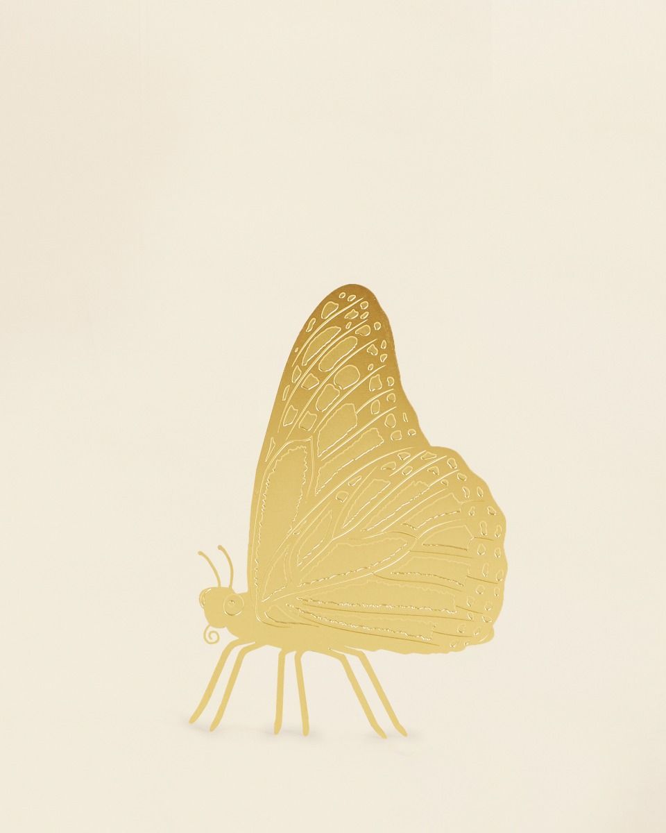Shop Bella Butterfly online | PLNTS.com