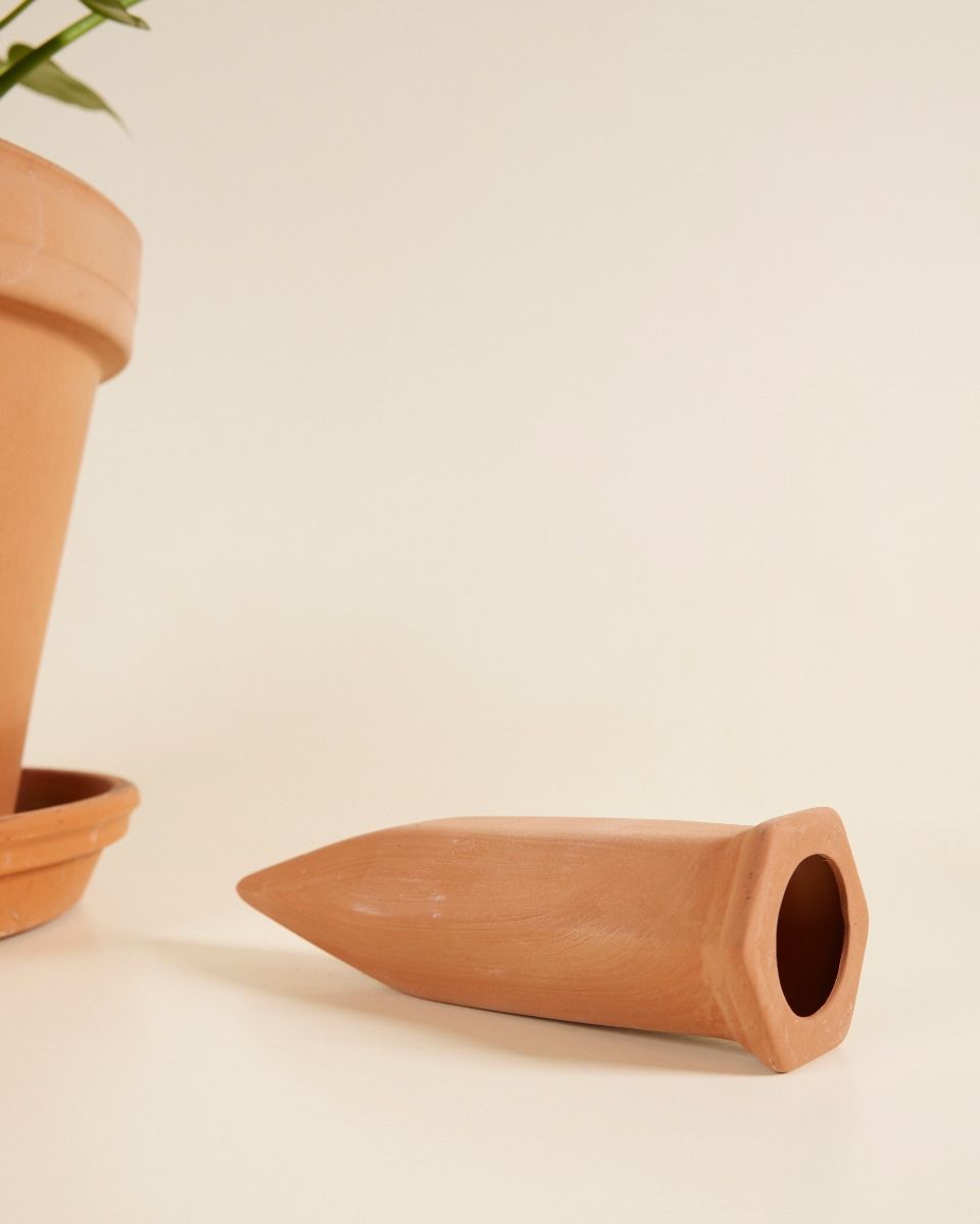 Terracotta Water Druppelaar online kopen | PLNTS.com