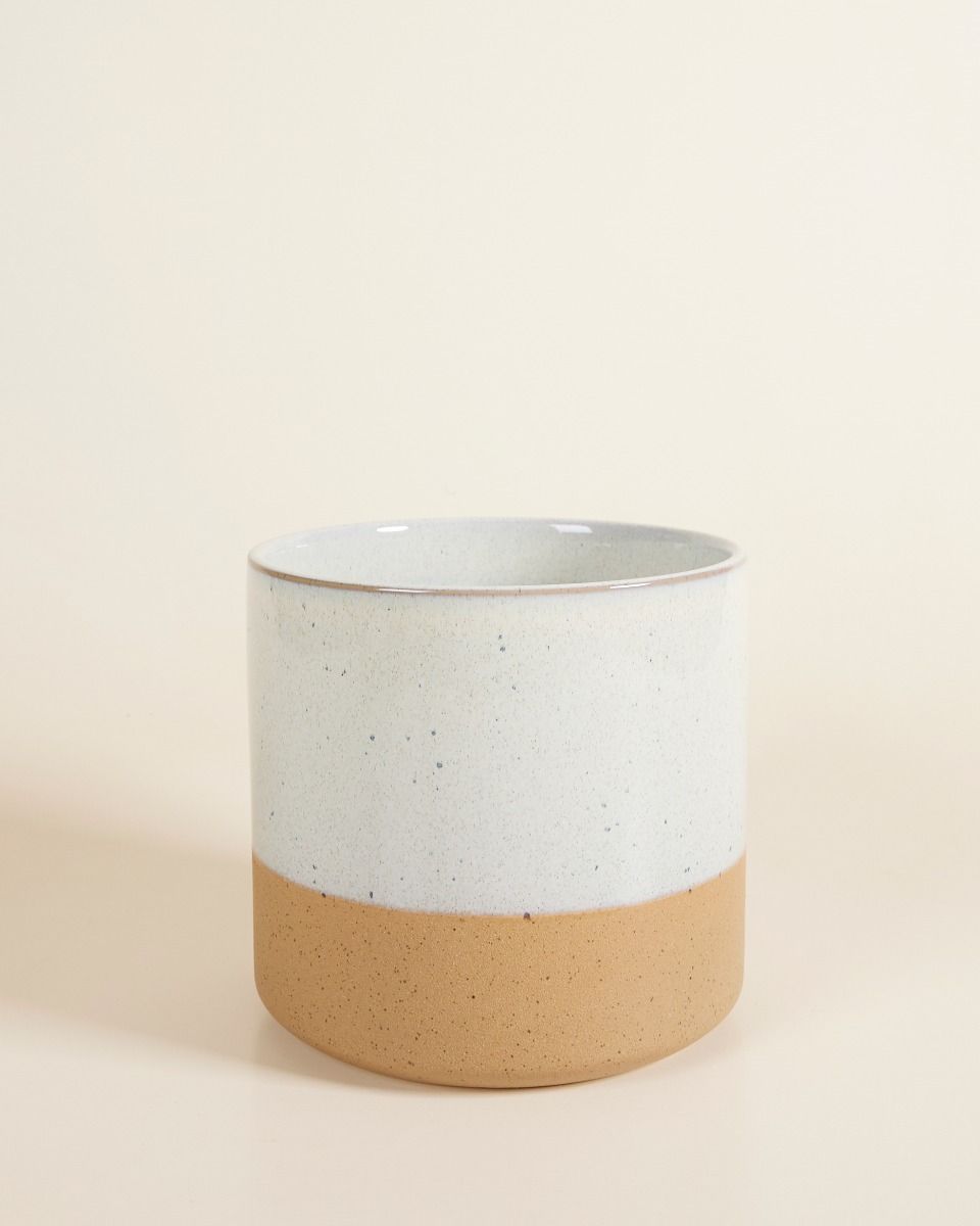 Shop Ava Pot White online | PLNTS.com