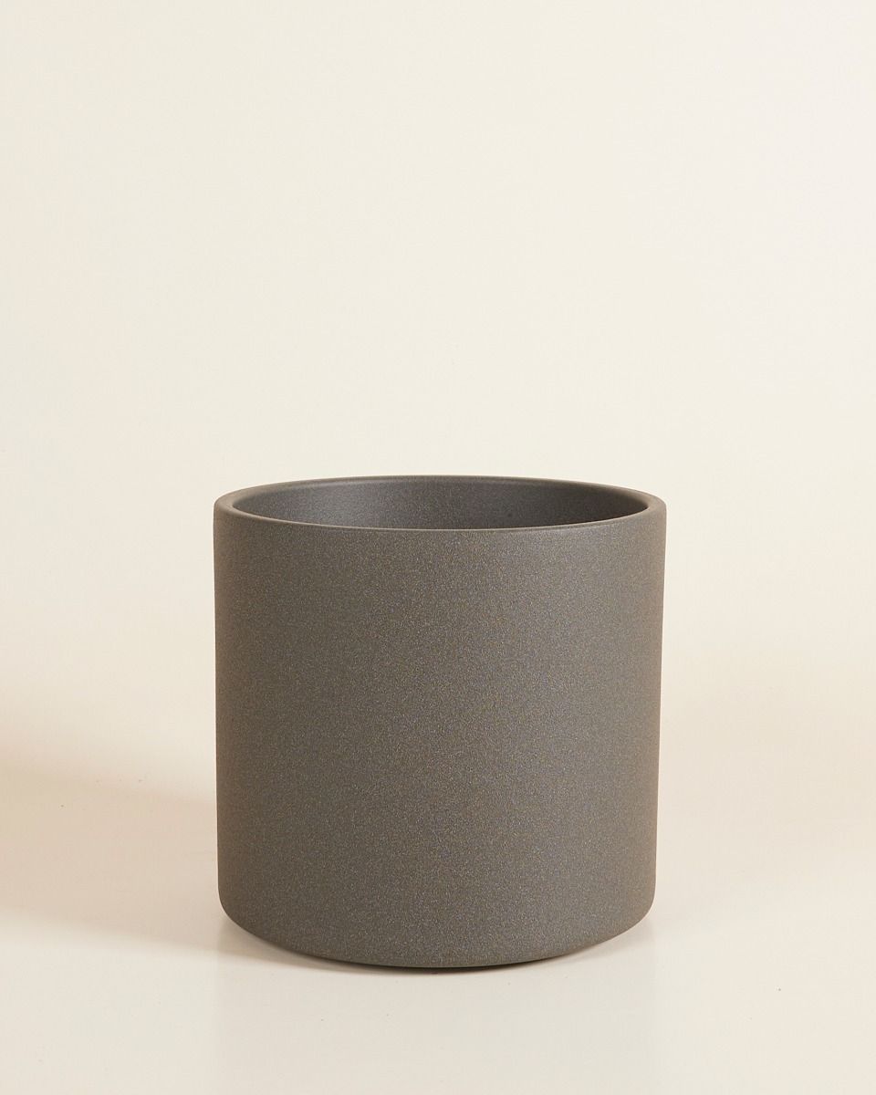 Shop Penny Pot Dark Grey online | PLNTS.com
