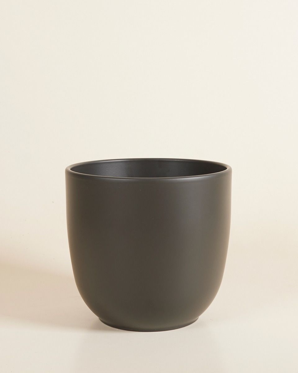 Shop Lexi Pot Black online | PLNTS.com