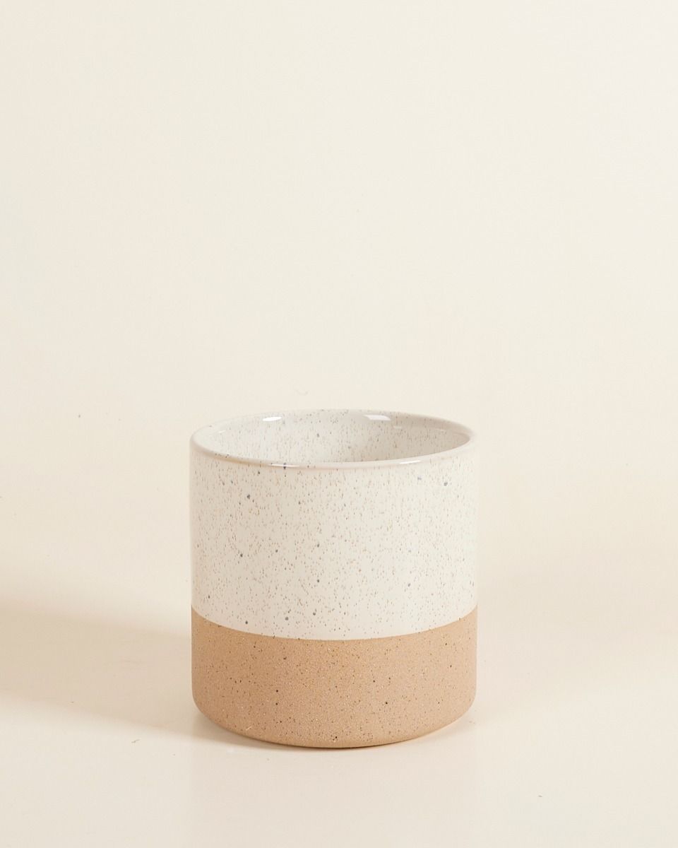 Shop Ava Pot White online | PLNTS.com