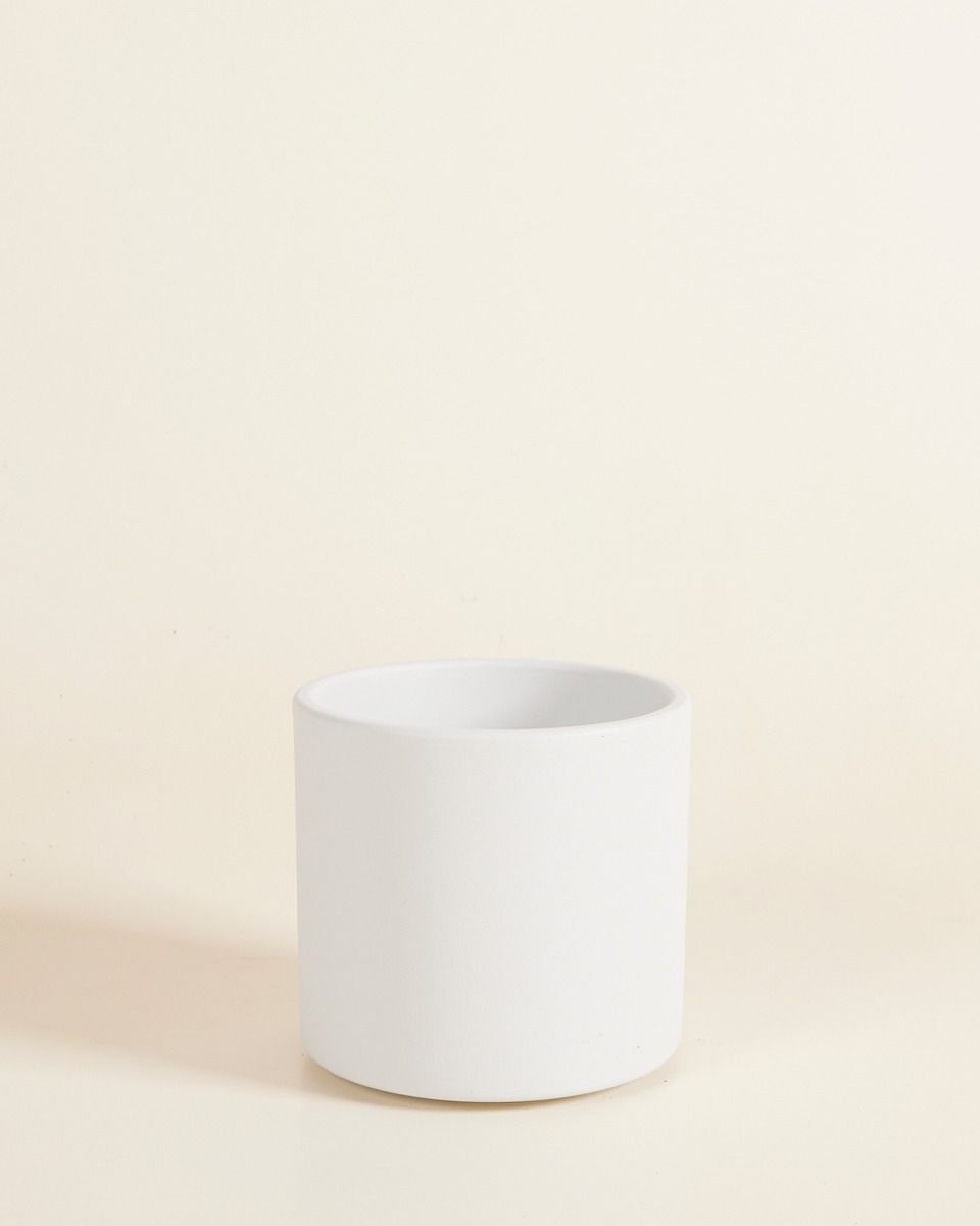 Shop Penny Pot Light Grey online | PLNTS.com