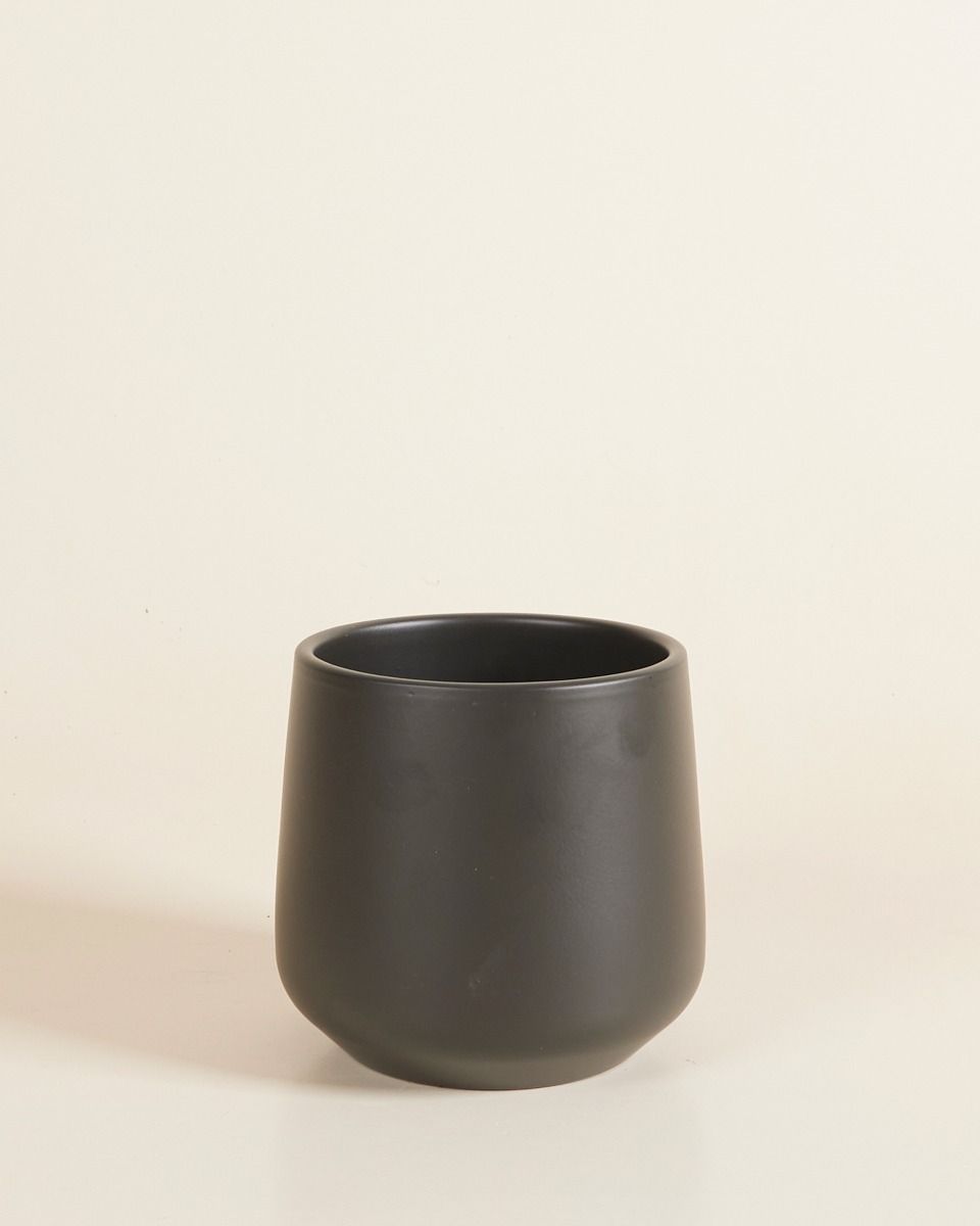 Shop Amber Pot Black online | PLNTS.com