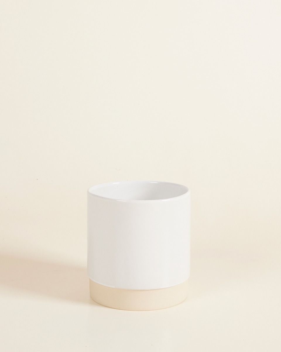 Shop Lisa Pot White online | PLNTS.com