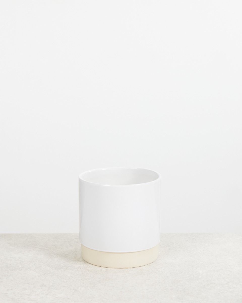 Shop Lisa Pot White online | PLNTS.com