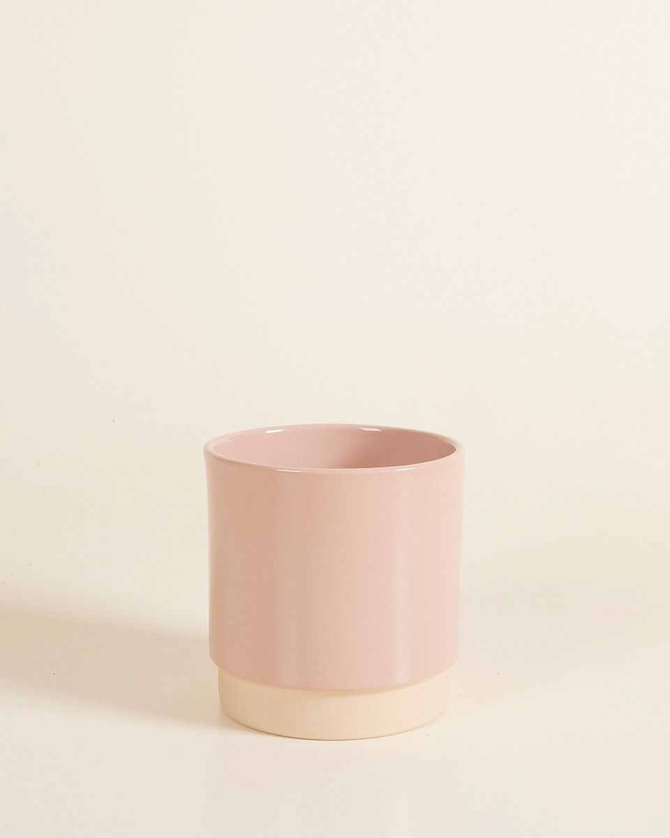 Shop Lisa Pot Dusty Pink online | PLNTS.com