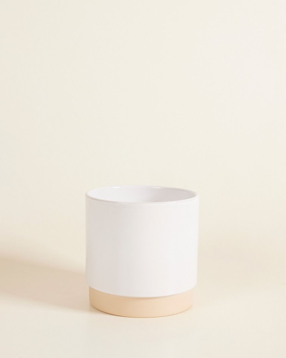 Shop Lisa Pot White online | PLNTS.com