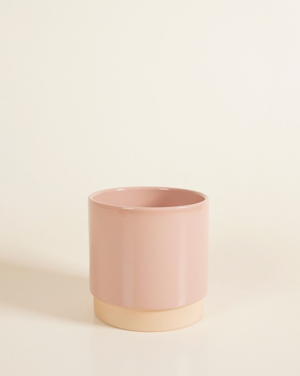 Shop Lisa Pot Dusty Pink online | PLNTS.com