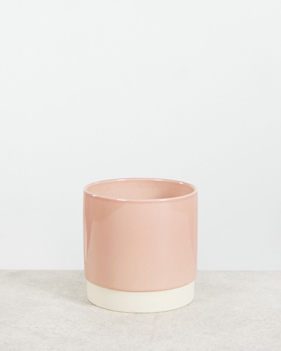 Shop Lisa Pot Dusty Pink online | PLNTS.com