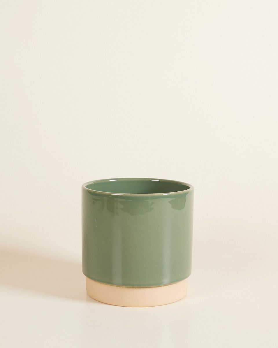 Shop Lisa Pot Green online | PLNTS.com