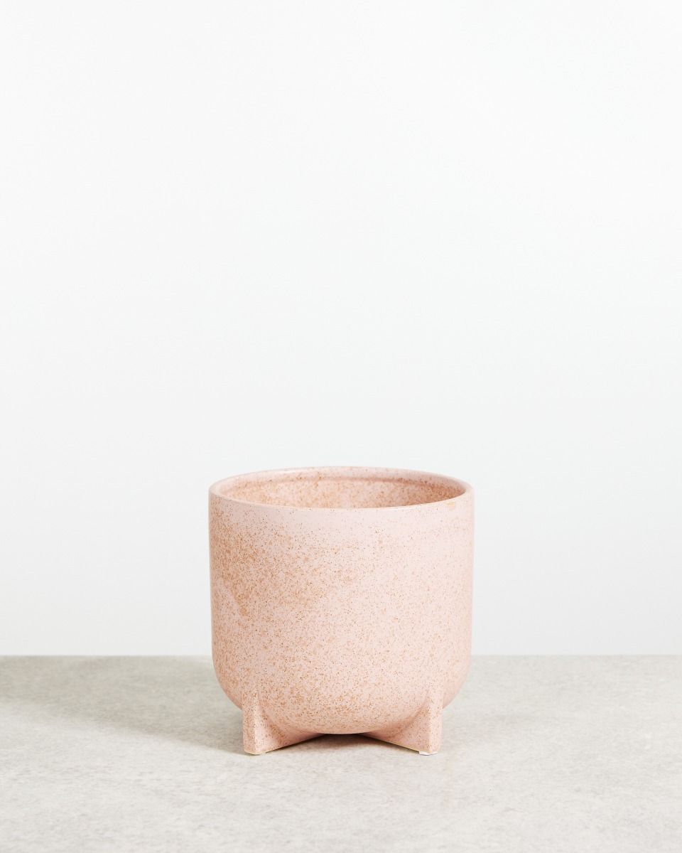 Shop Stu Pot Pink online | PLNTS.com