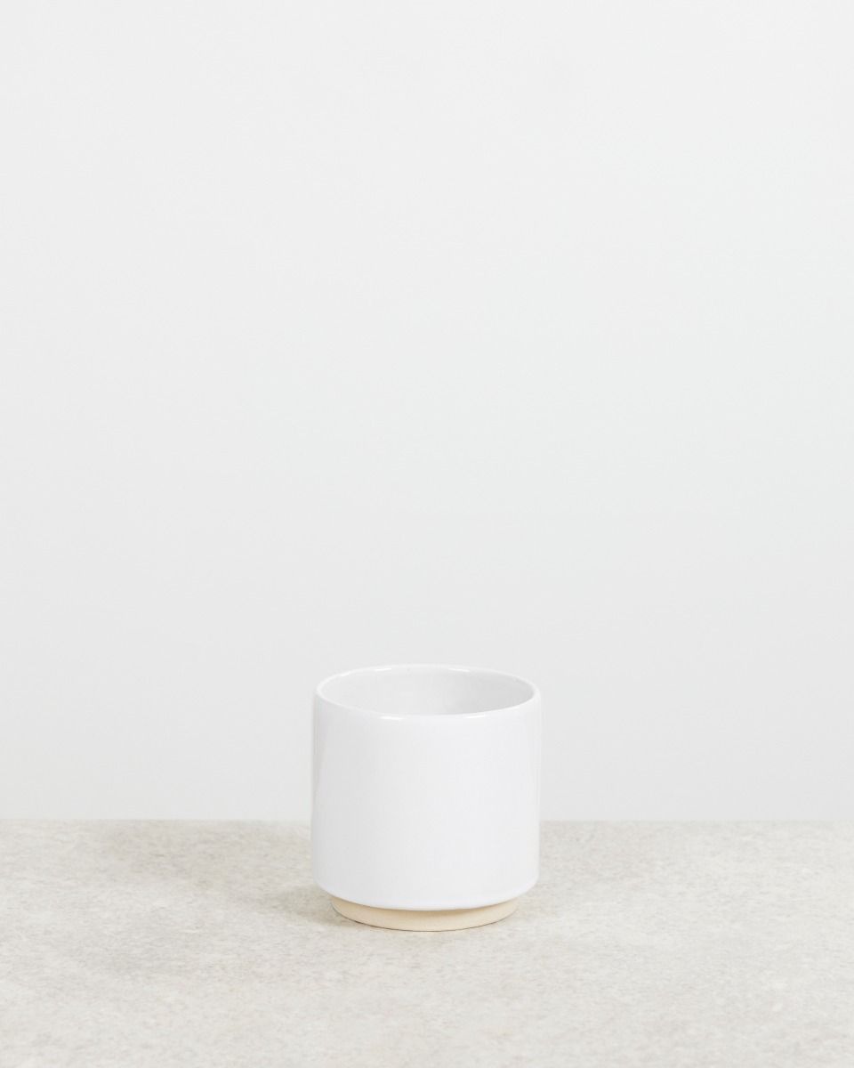 Shop Lisa Pot White online | PLNTS.com