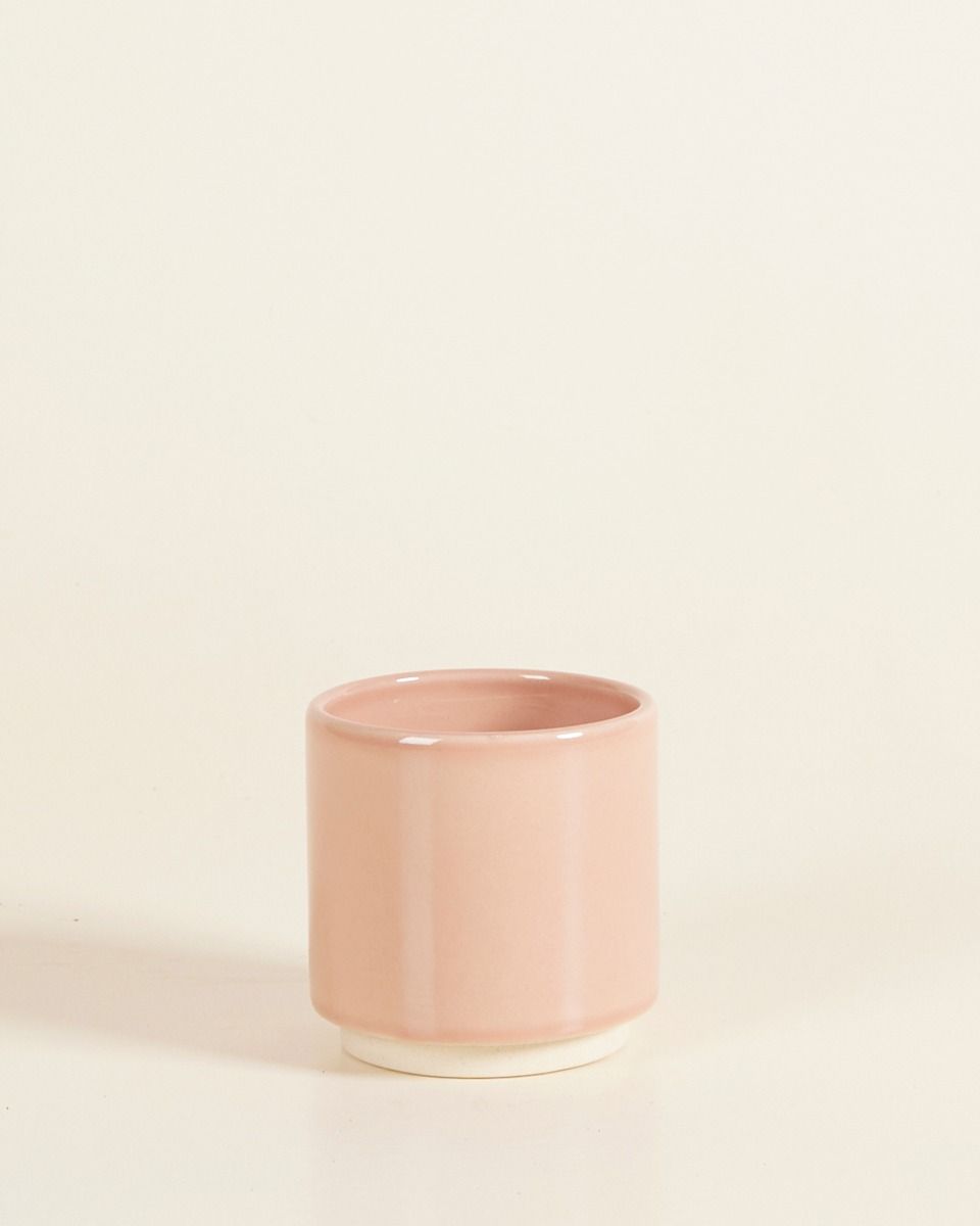 Shop Lisa Pot Dusty Pink online | PLNTS.com