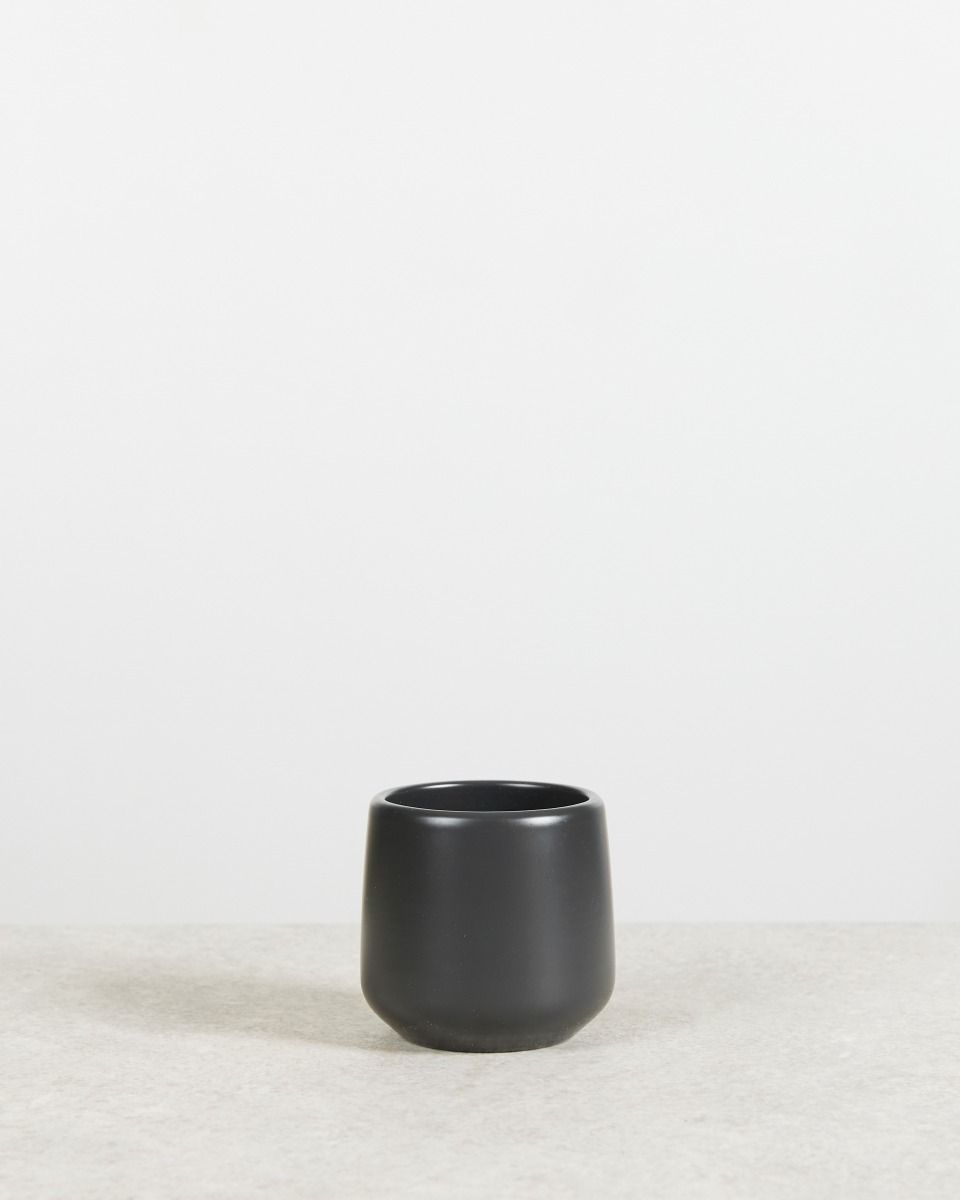 Shop Amber Pot Black online | PLNTS.com