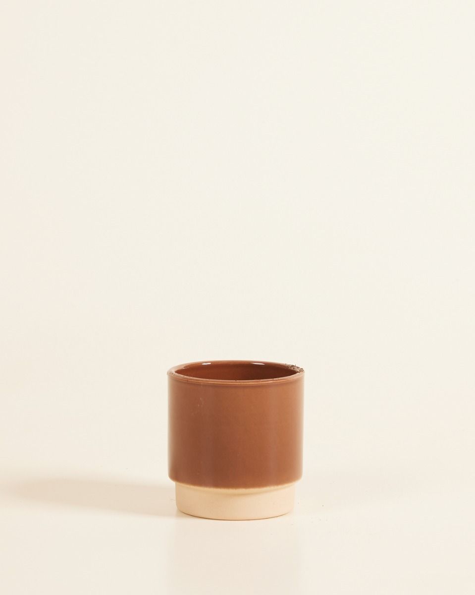 Shop Lisa Pot Dusty Terra online | PLNTS.com