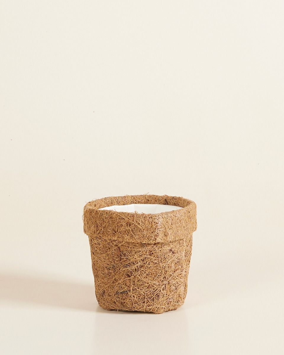 Shop Ada Kokedama Pot Coconut Fibres online | PLNTS.com