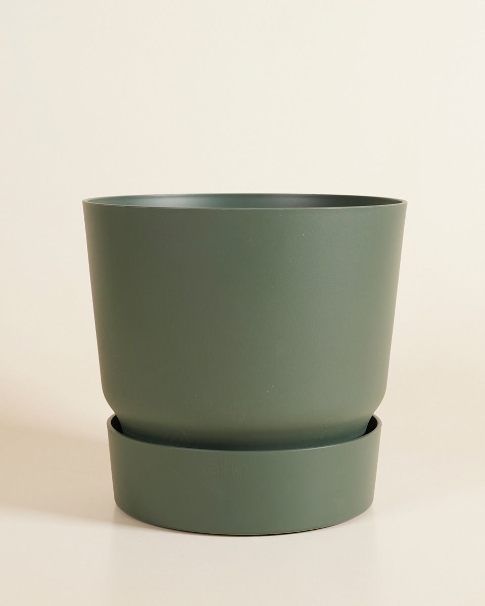 Shop Elho Miles Round Pot Green online | PLNTS.com