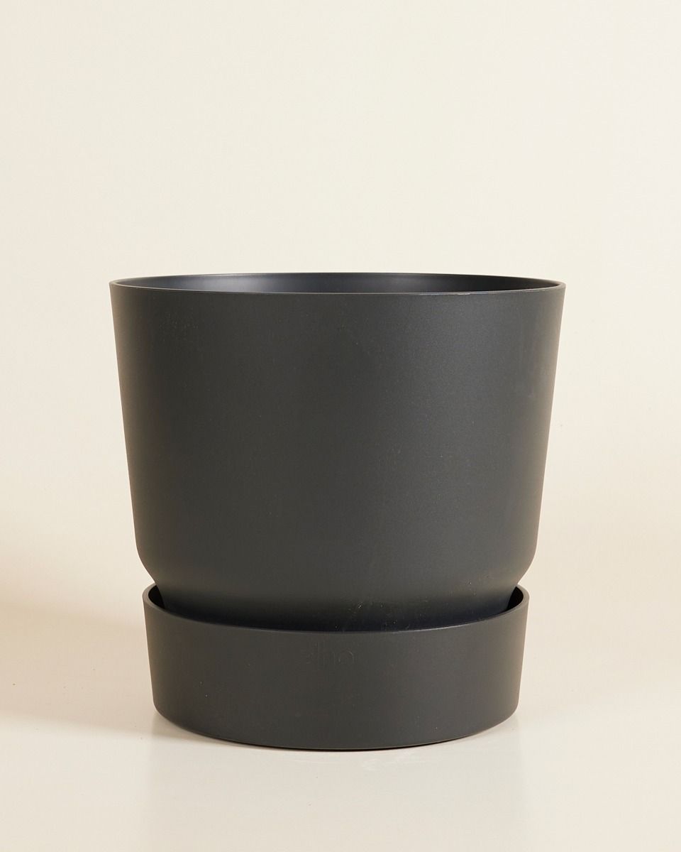 Shop Elho Miles Round Pot Black online | PLNTS.com