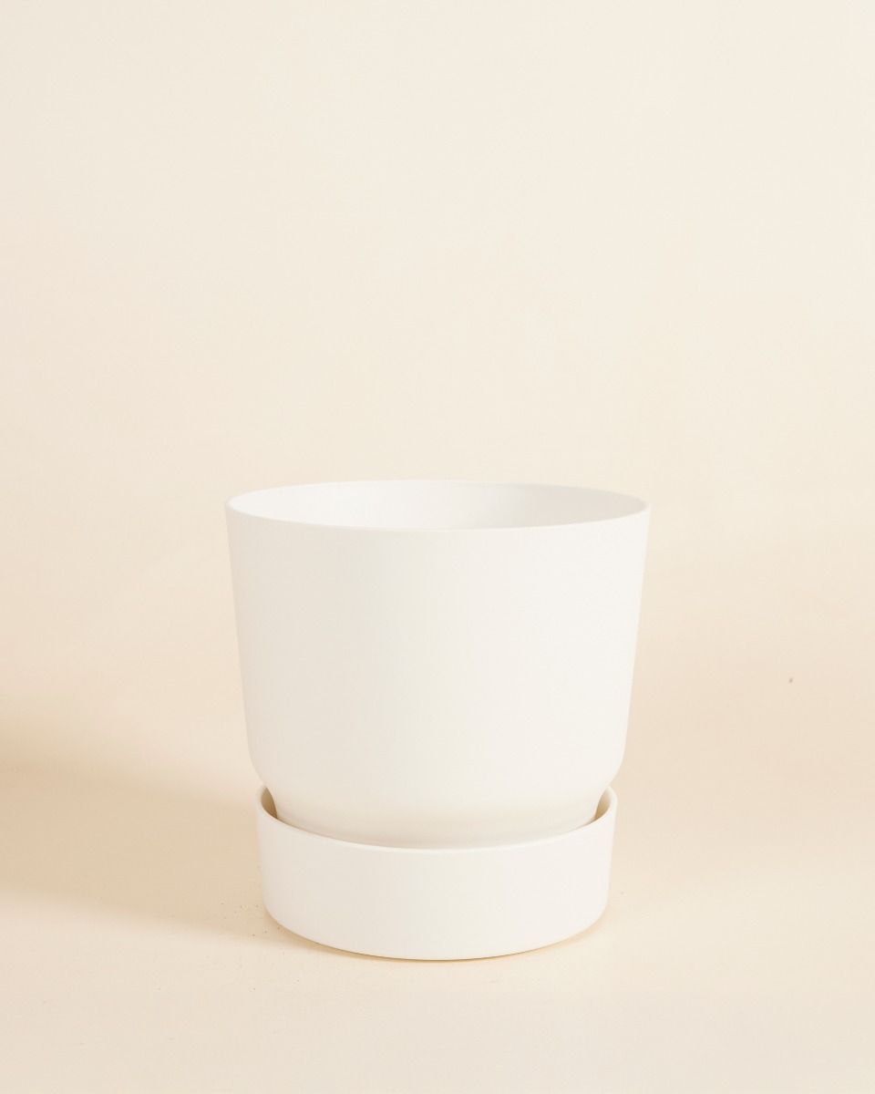 Shop Elho Miles Round Pot White online | PLNTS.com