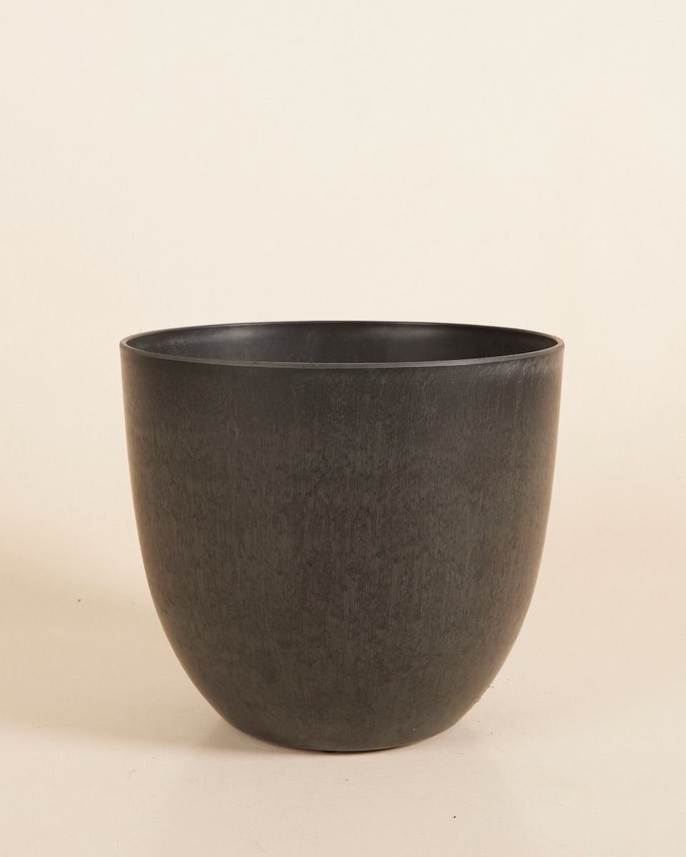 Shop Bola Pot Black online | PLNTS.com