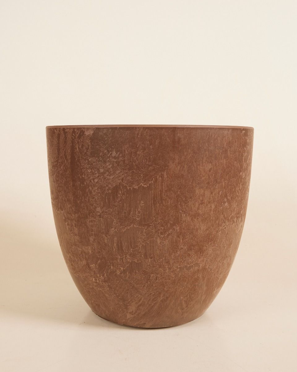 Shop Bola Pot Brown online | PLNTS.com