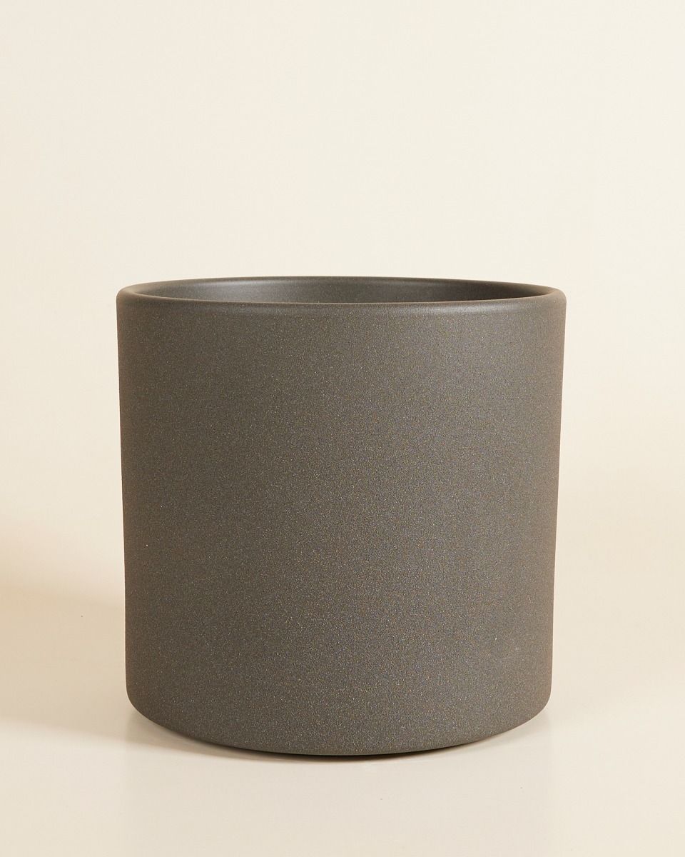 Shop Penny Pot Dark Grey online | PLNTS.com