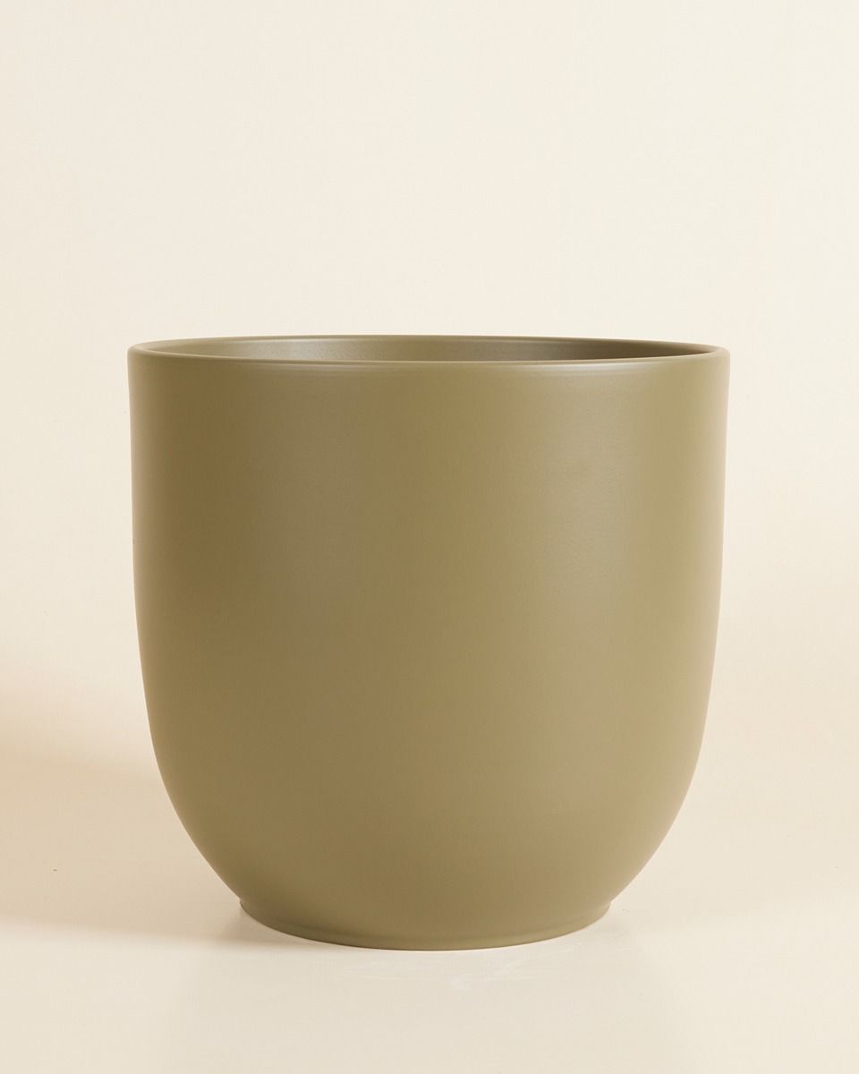Shop Lexi Pot Green online | PLNTS.com