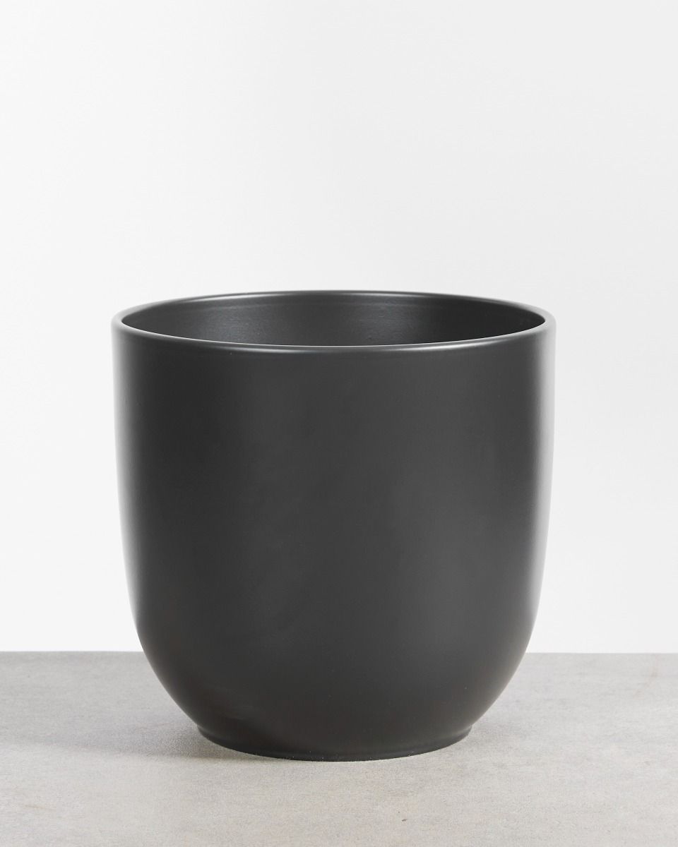 Shop Lexi Pot Black online | PLNTS.com