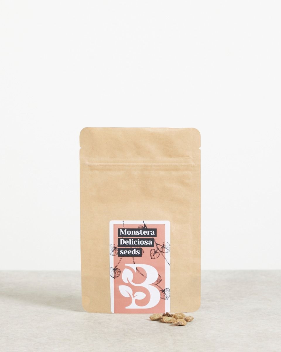 Shop Monstera Deliciosa seeds S (Swiss-cheese Plant) online | PLNTS.com