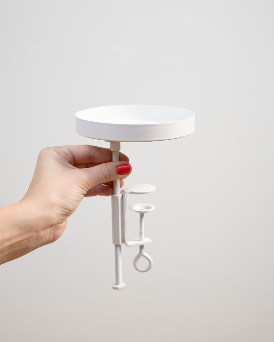 Shop Window Display Clamp online | PLNTS.com