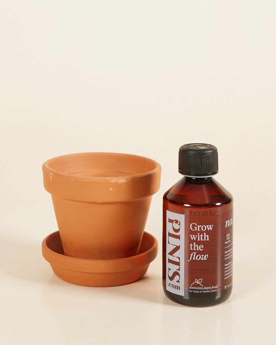 Compre Grow Set 2 en línea | PLNTS.com