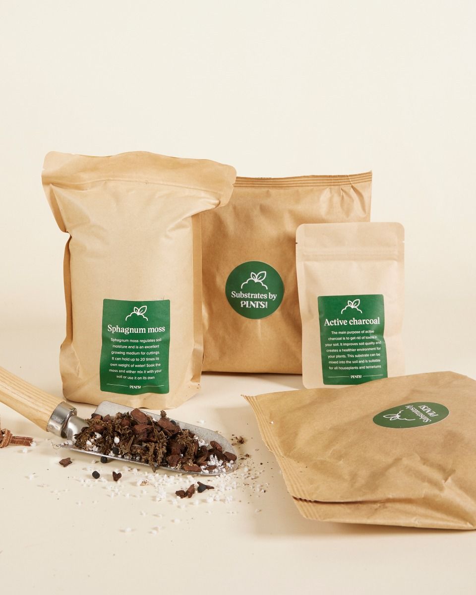 Shop Epiphytes potting mix kit online | PLNTS.com