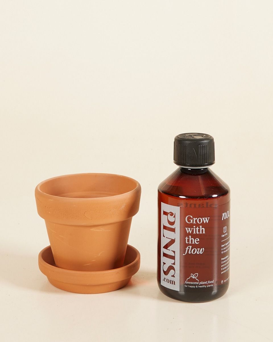 Shop Grow Set 1 online | PLNTS.com