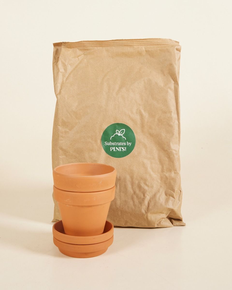 Baby Potting Set online kopen | PLNTS.com