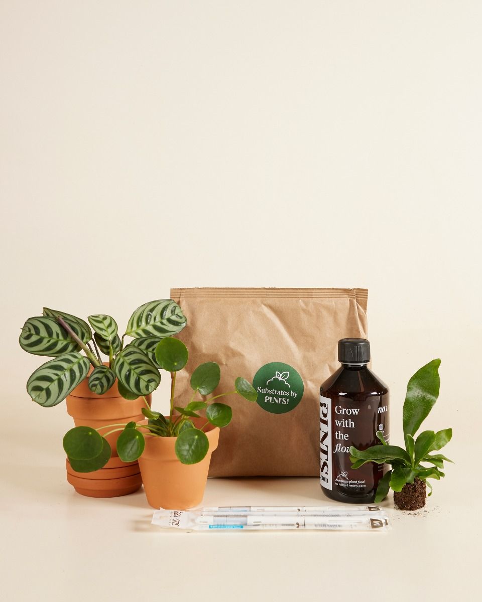 Shop Trio Starter Kit online | PLNTS.com