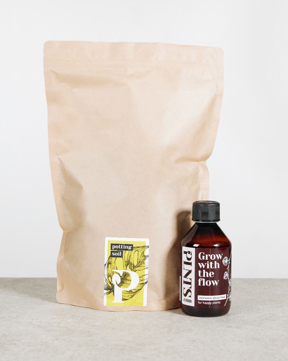 Shop PLNTS Grow Set online | PLNTS.com