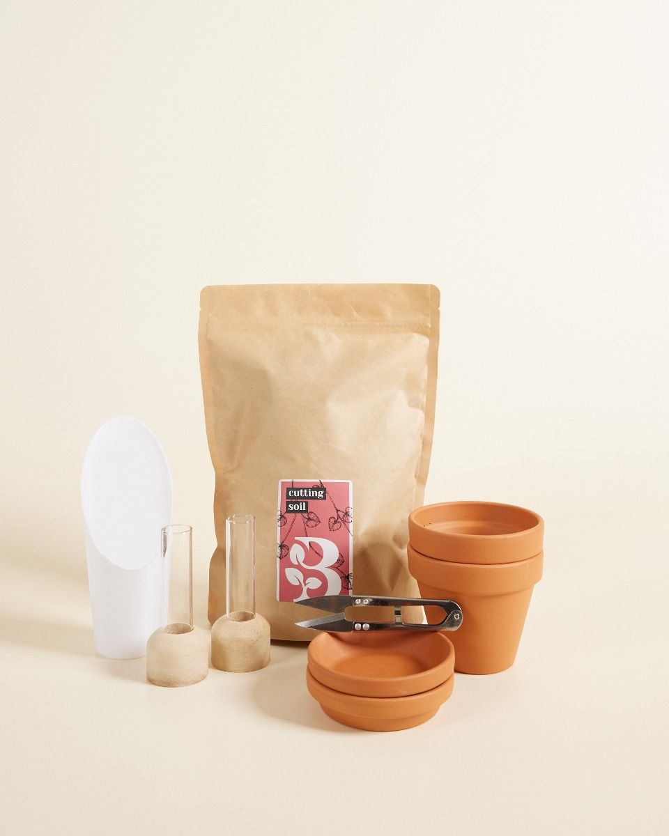 Shop Propagation Kit online | PLNTS.com