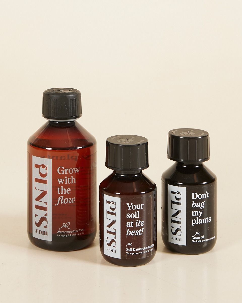 Shop Boosting Soil Guard Set online | PLNTS.com