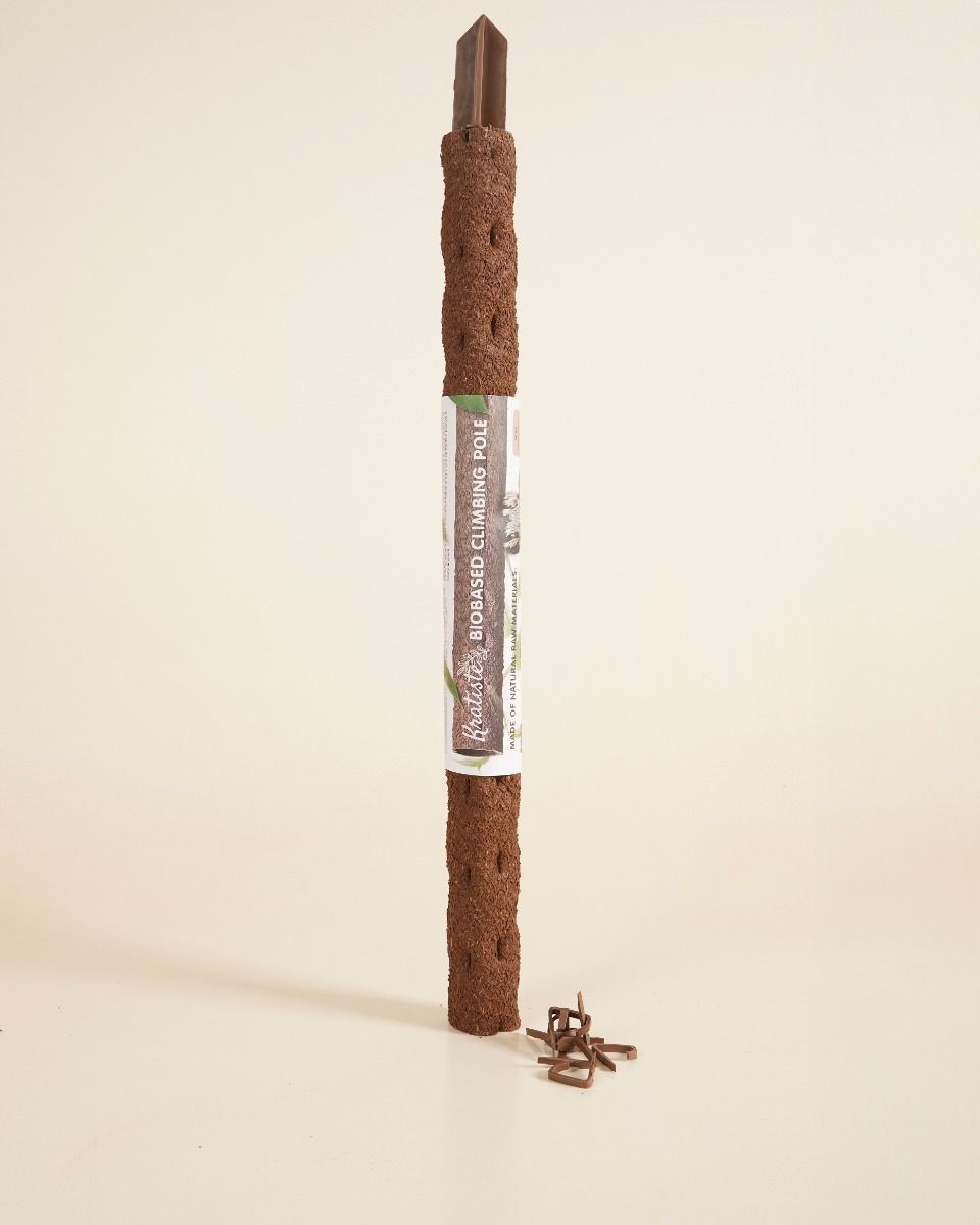 Shop Kratiste Biodegradable Climbing Pole online | PLNTS.com