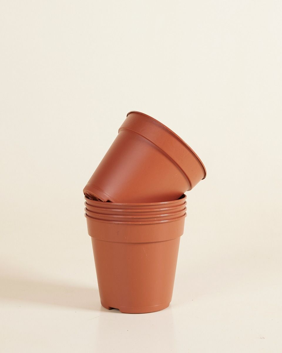 Shop Set of 5 Nursery Planters Ø 12 cm online | PLNTS.com