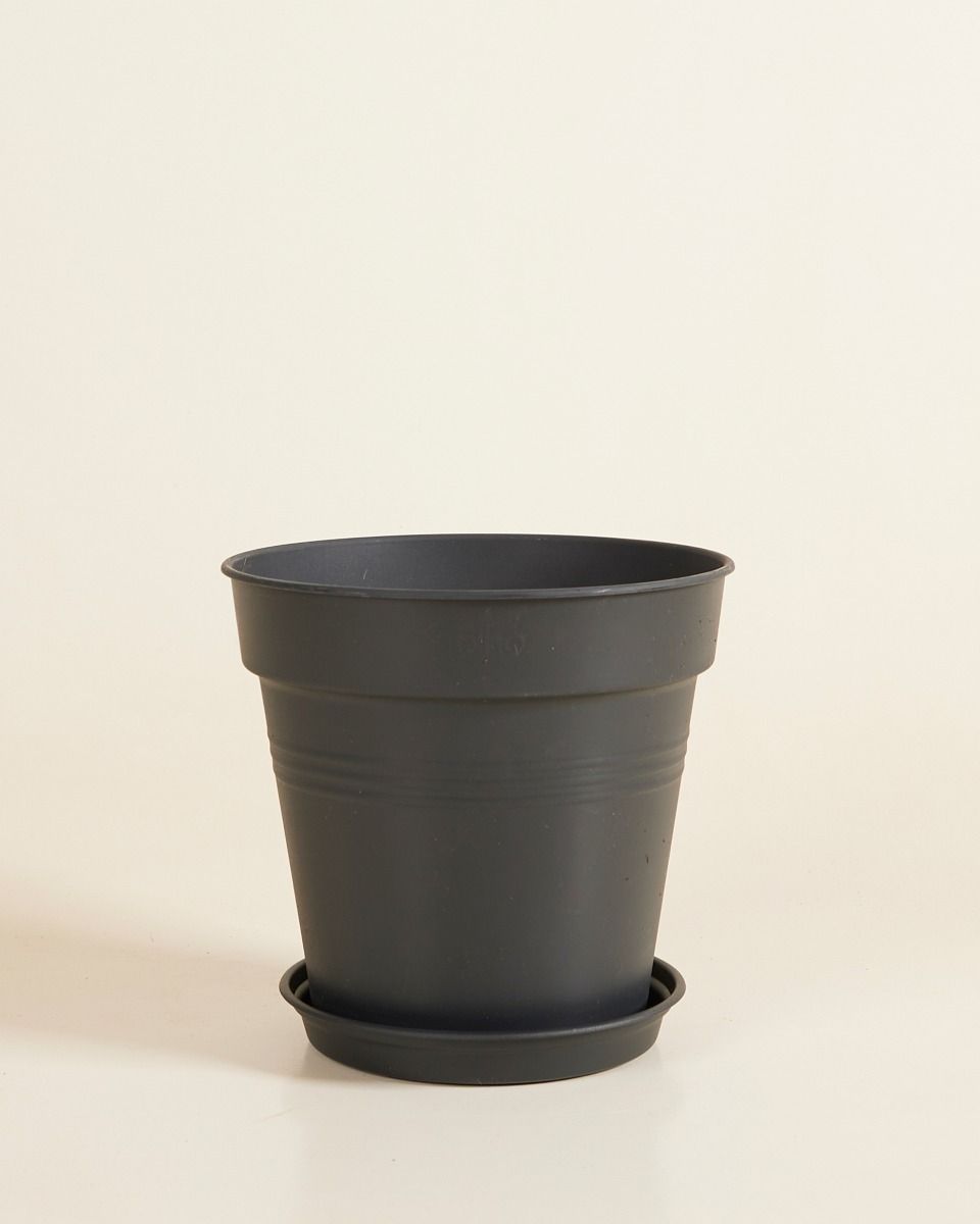 Shop Elho Hagrid Grow Pot online | PLNTS.com